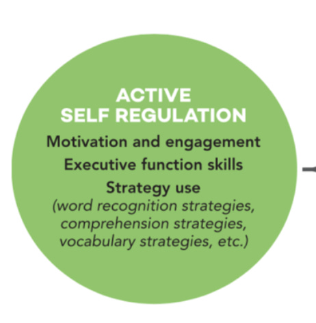 The Active View of Reading - Leah Mermelstein