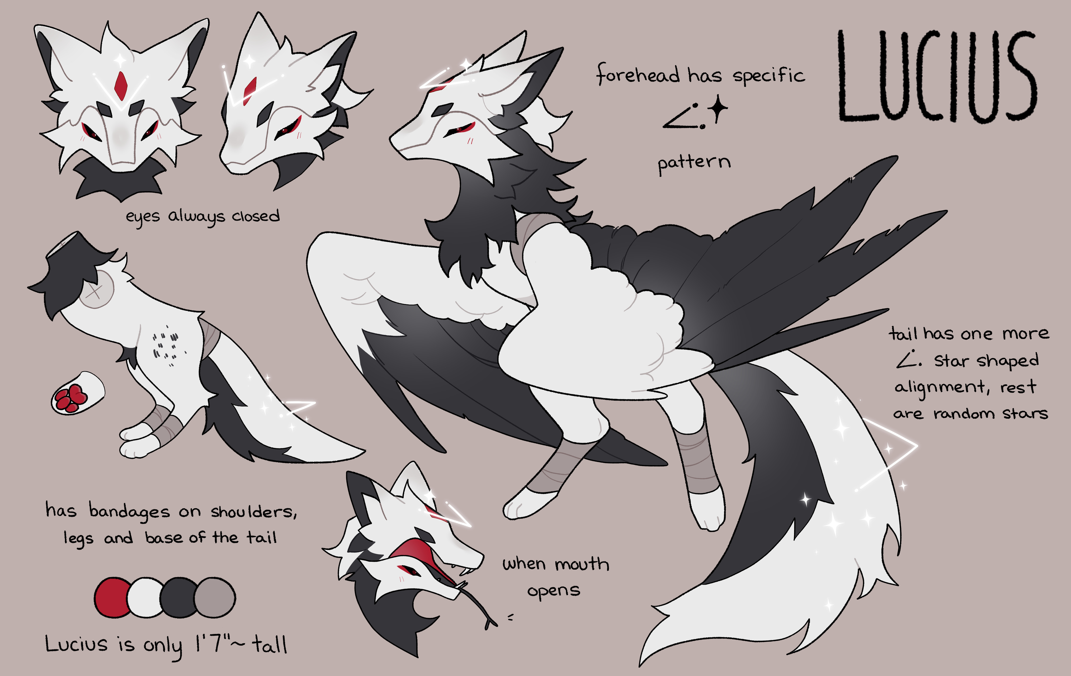 Small Guide For OC Reference Sheets - by AudTrico