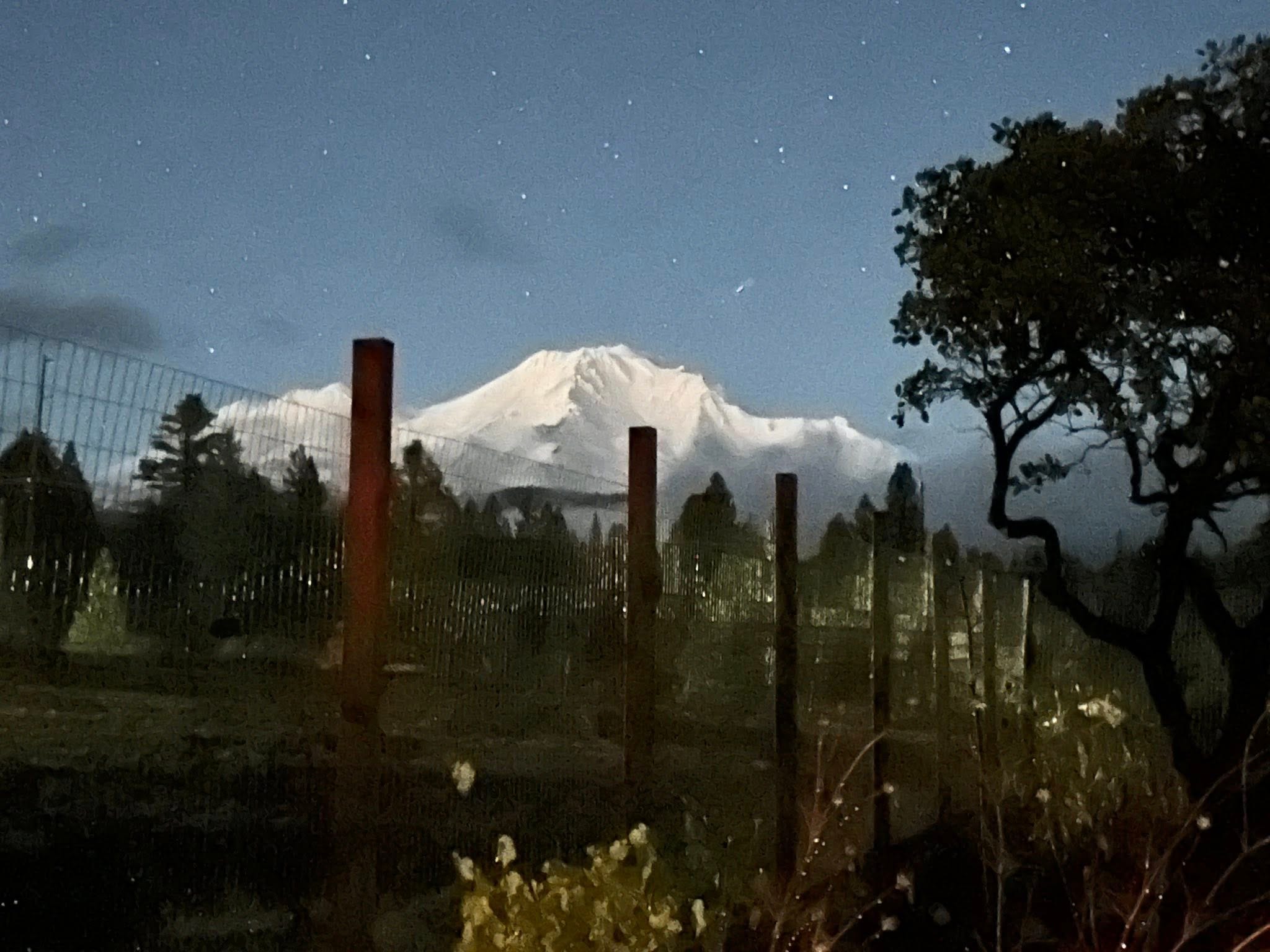 Journal - December Night - by Katie Beth