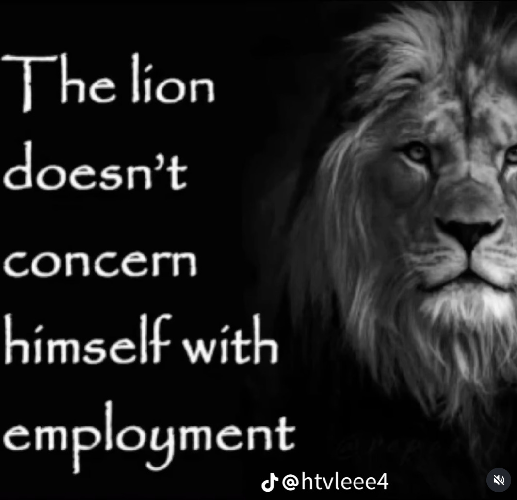 What is "the lion does not concern himself" meme?