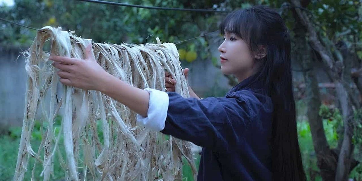 The Myth of the Perfect Countryside: Liziqi, Rural Life, and the Reality Behind the Aesthetic