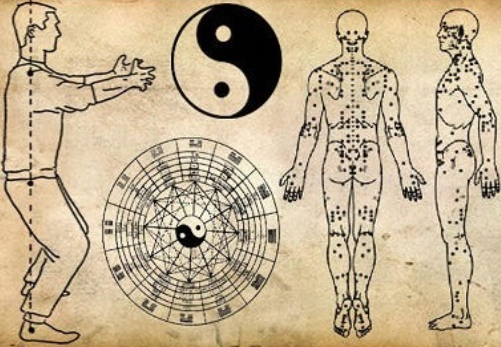 Free Qigong Class - by Steve Macari - HEALWITHOUT