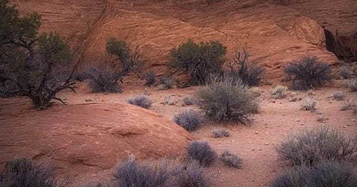 The American Sun | Hank Oslo | Substack