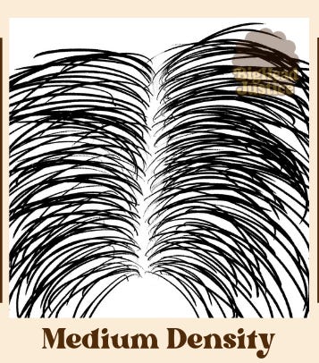 What is Hair Density and Why Not Knowing Yours Is Holding You Back