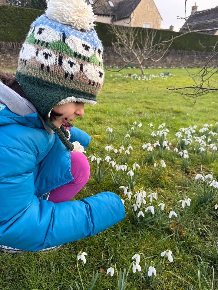 Imbolc 2026 ritual, Snow moon, Brigid and The Cailleach