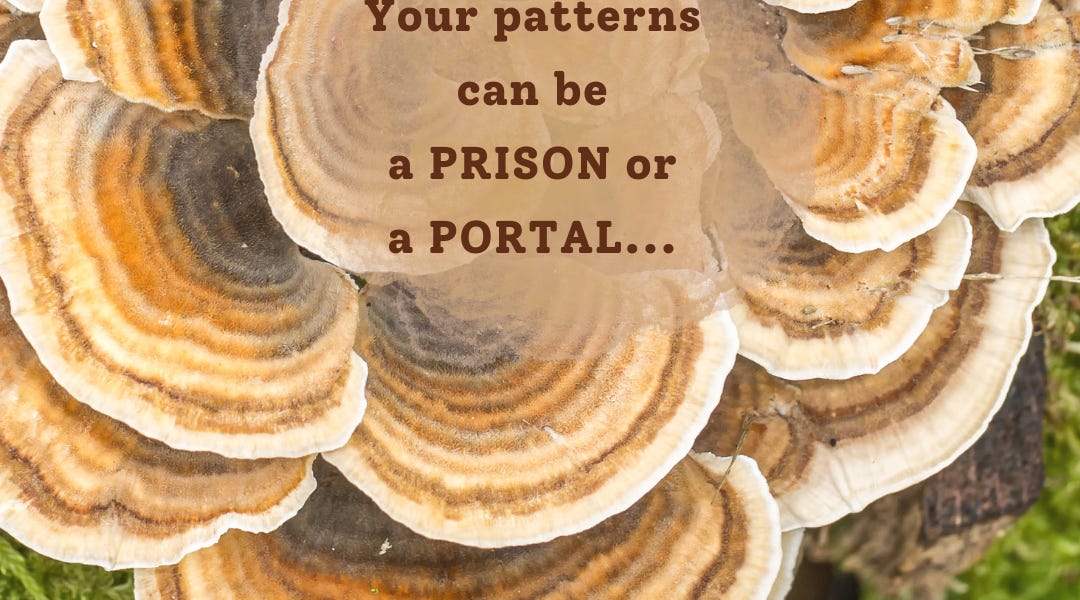 Your Coping Patterns Hold the Key - Evelyn D.’s Substack
