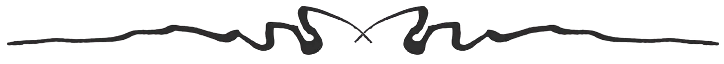 The Manifold Mind of Saul Bellow: On the 20th Century Master, 20 Years ...