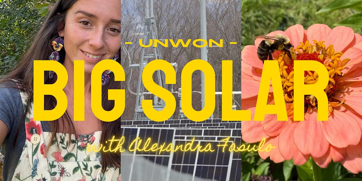 FIGHTING BIG SOLAR with Alexandra Fasulo: One Farmer vs. the Industry ...
