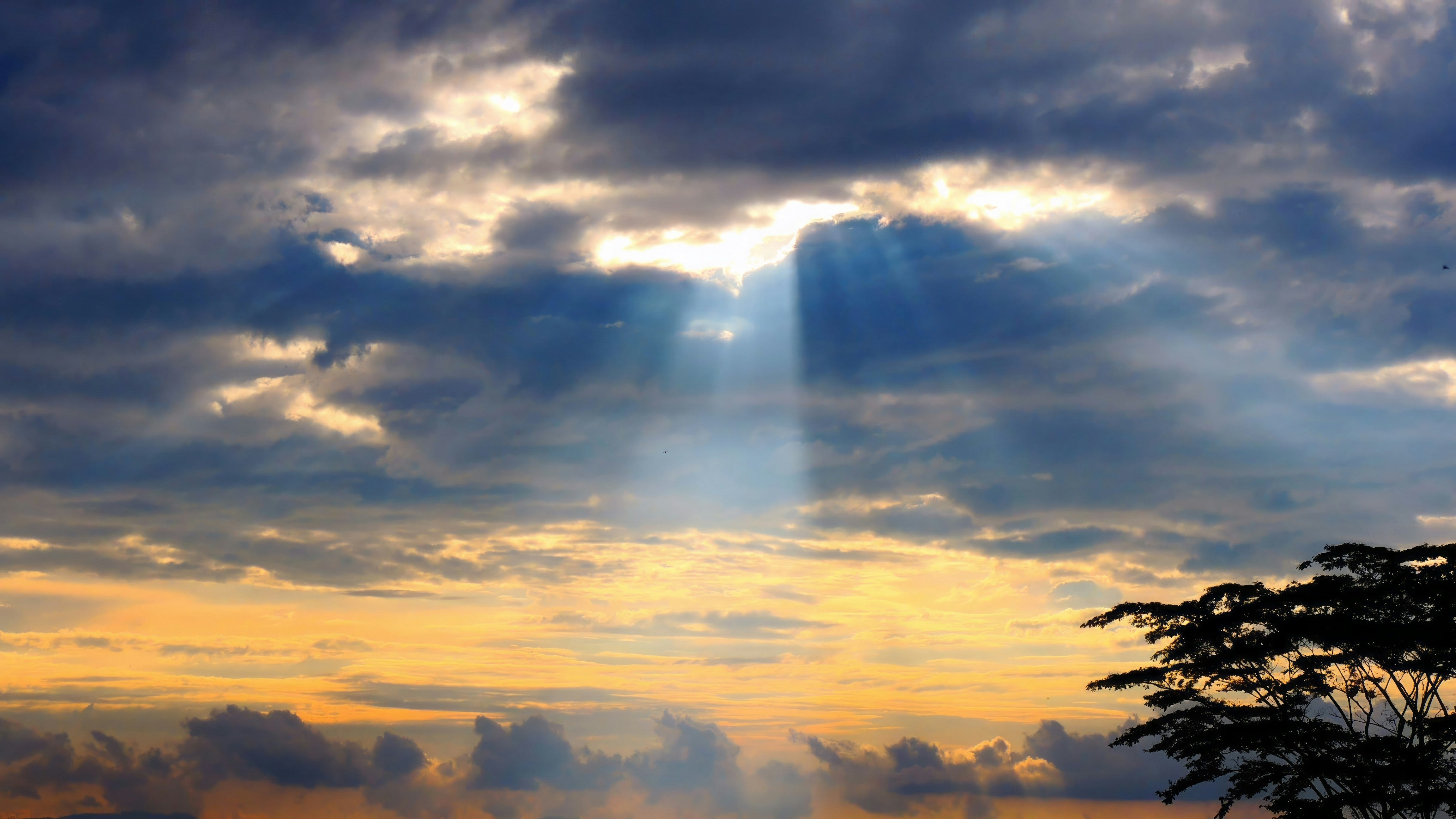The Lord Will Be Revealed from Heaven - by Andy Sochor