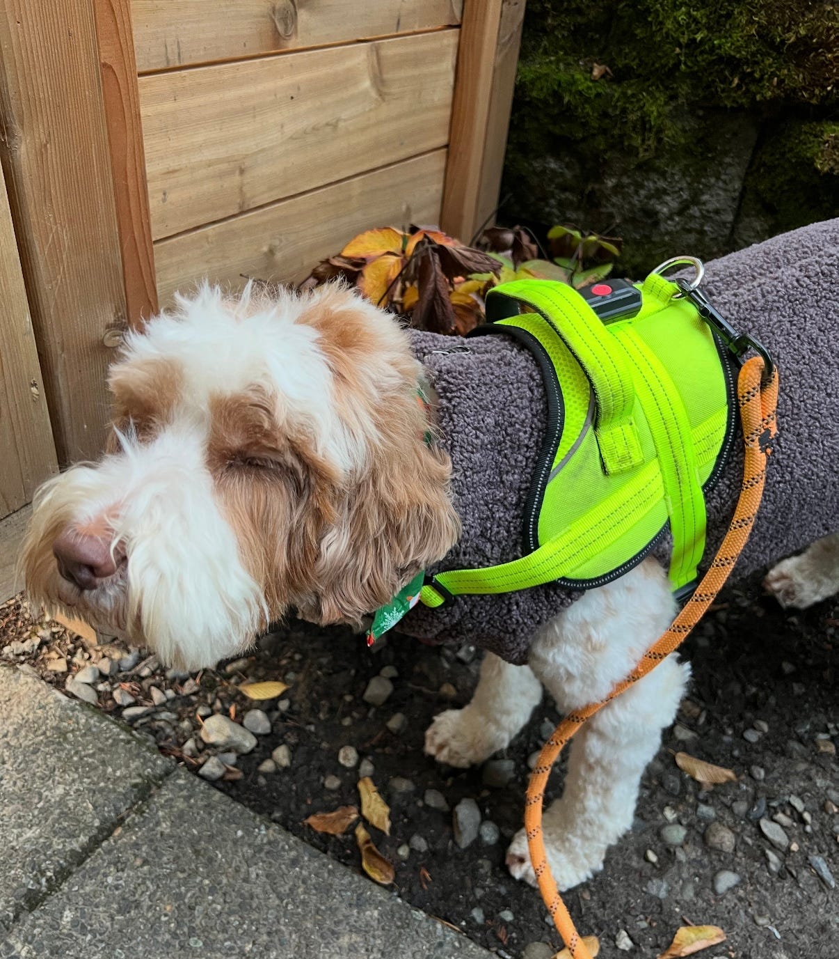 Trash Talk - by Justina Chen - unbound