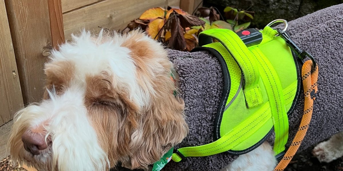 Trash Talk - by Justina Chen - unbound