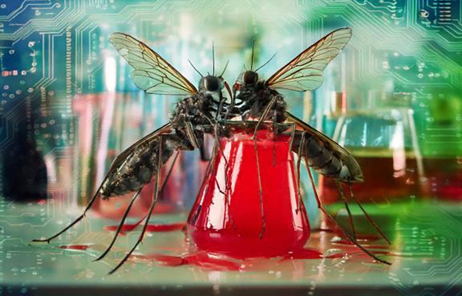 Friendly and Sparks: Oxitec’s Lab-Altered Mosquitoes