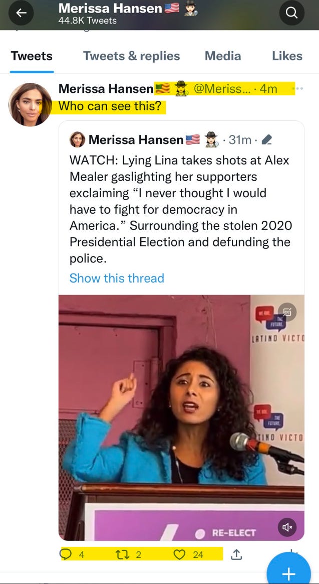 Is Big Tech Running Election Interference for Lina Hidalgo?