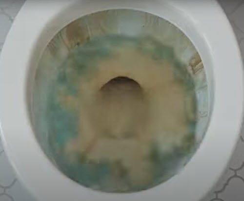 A Mythical Toilet Creature is Climbing the Charts