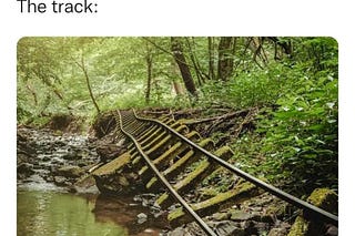 Screaming into the Void | SimulationCommander | Substack