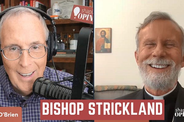 Shaping Opinion | Substack