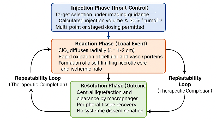 The Diffusion–Reaction Logic Behind Intratumoral ClO₂ Therapy