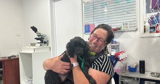 The Retirement Phase | Jennifer Jones | Substack