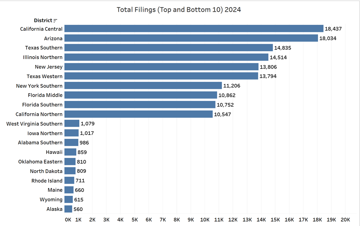 Judicial Business in the District Courts 2024: How Surging Caseloads ...