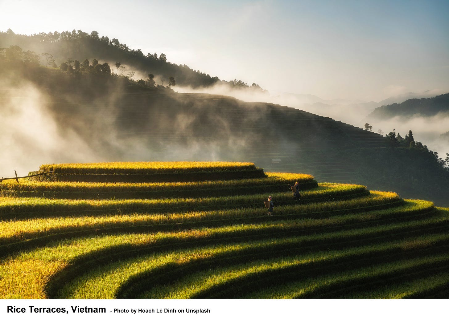 Rural Geography - by Ritchie Cunningham