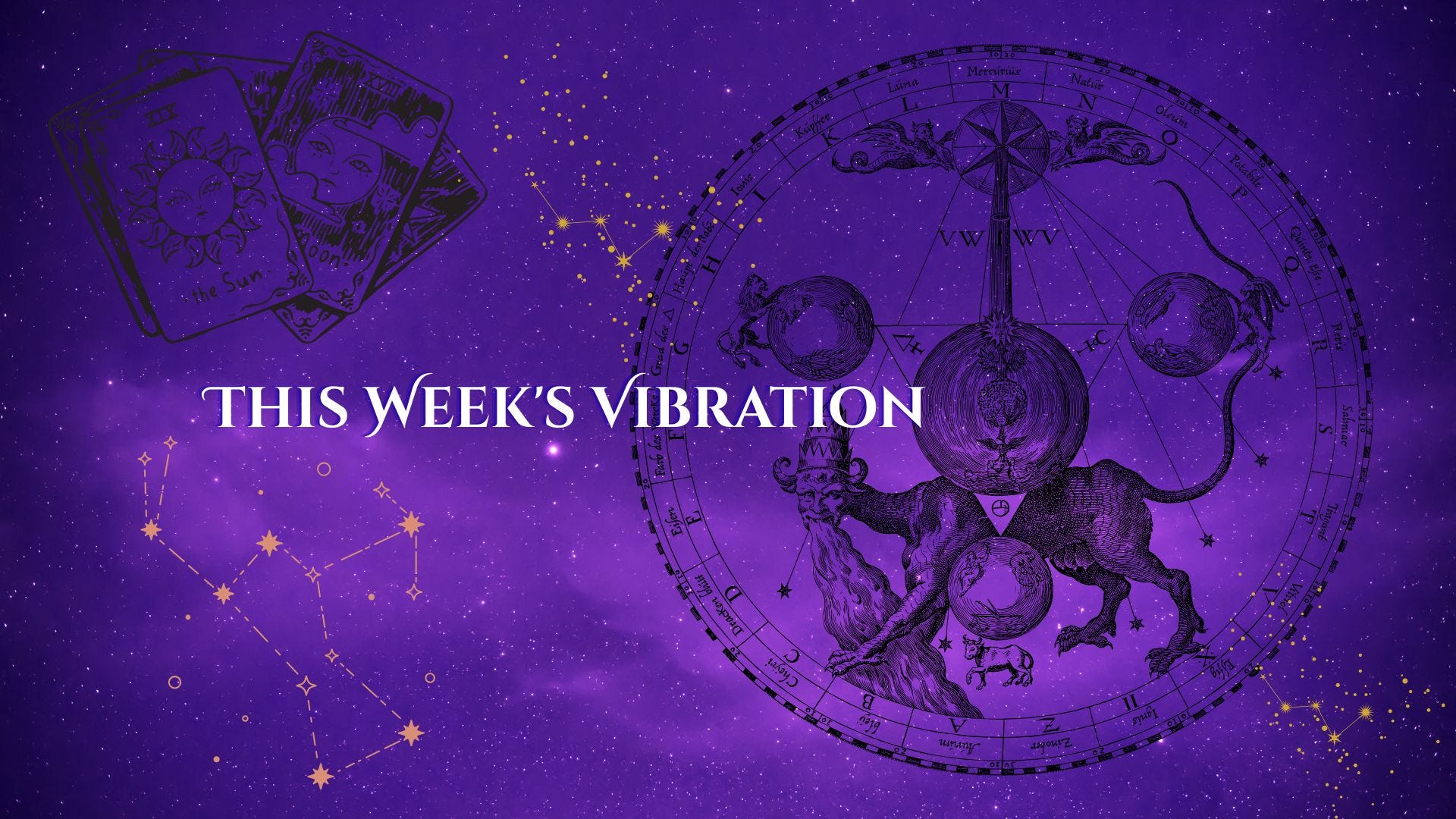 The Weekly Vibe - David Hanzel