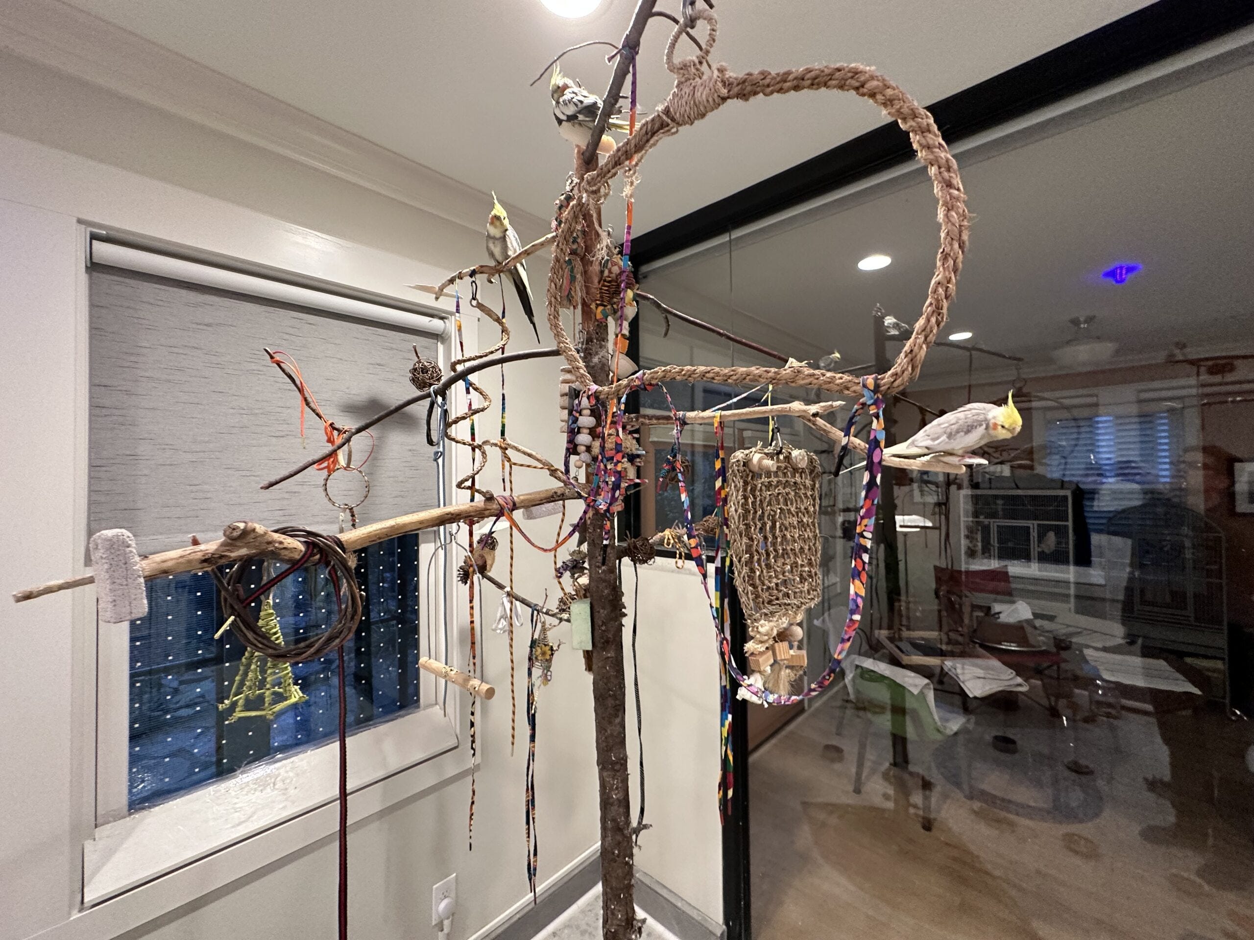 How I made “perch trees” for our aviaries