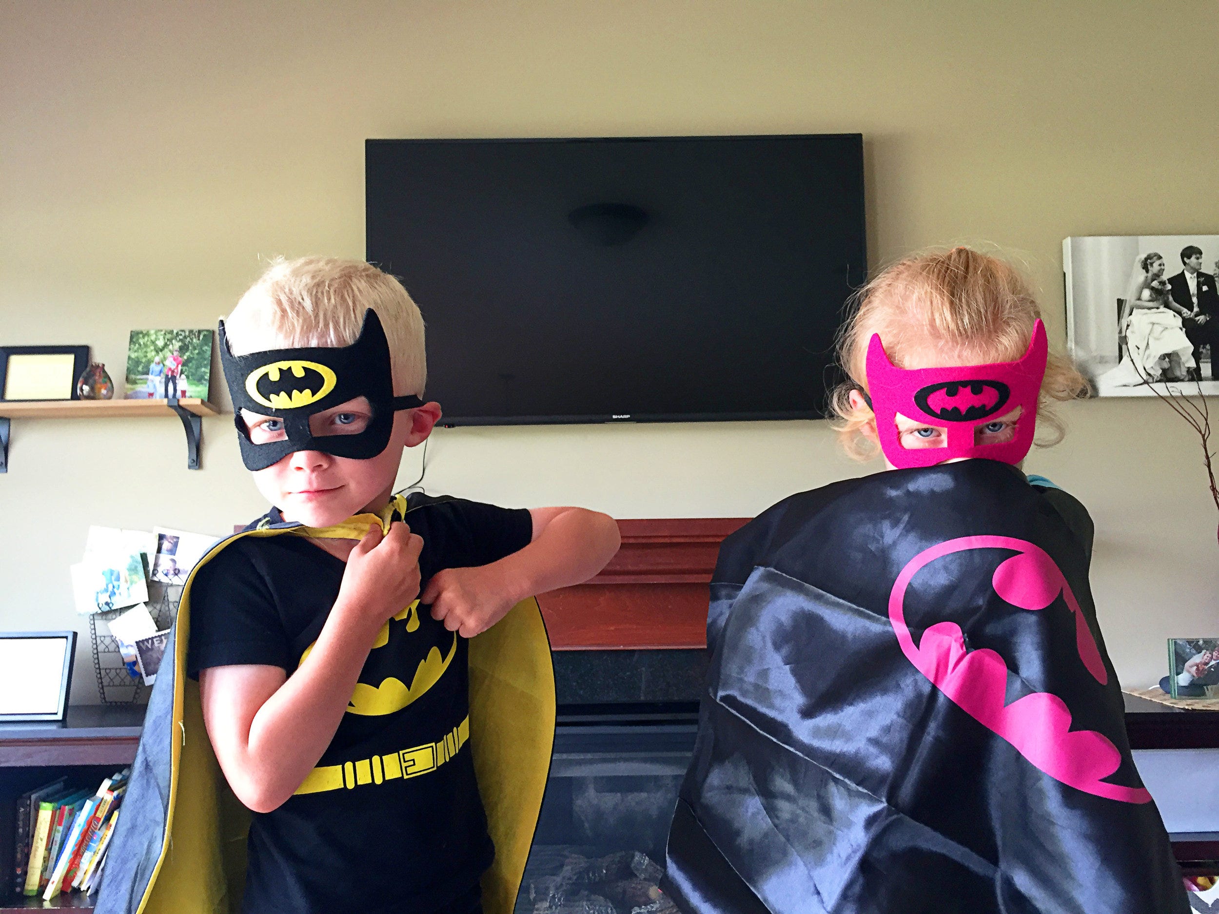 The Summer of Batman - by Shannon Williams