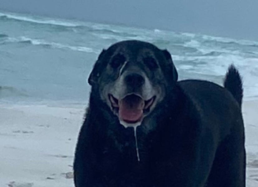 Understanding the Transverse Facial Planes of the Human Body: Alignment ...