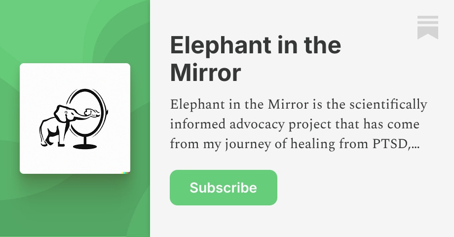 Elephant in the Mirror | Aun Ali, MBBS | Substack