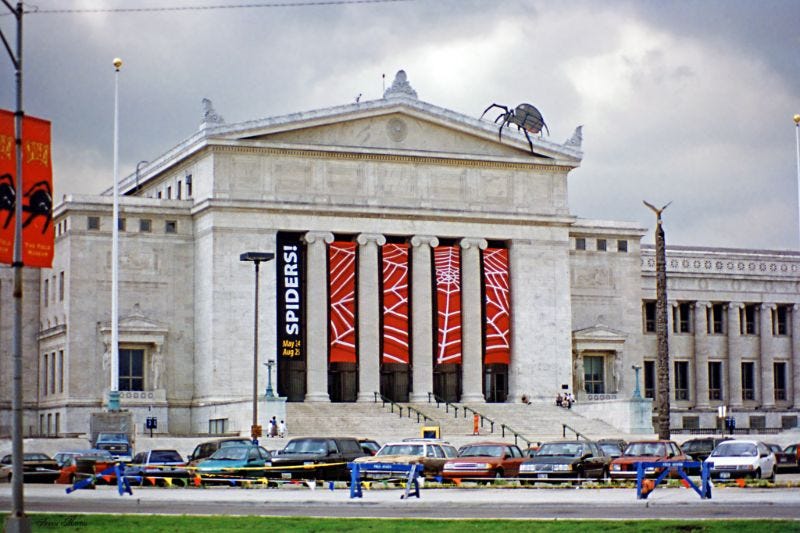 Rare Photos: Chicago in the 90s, A City Transformed