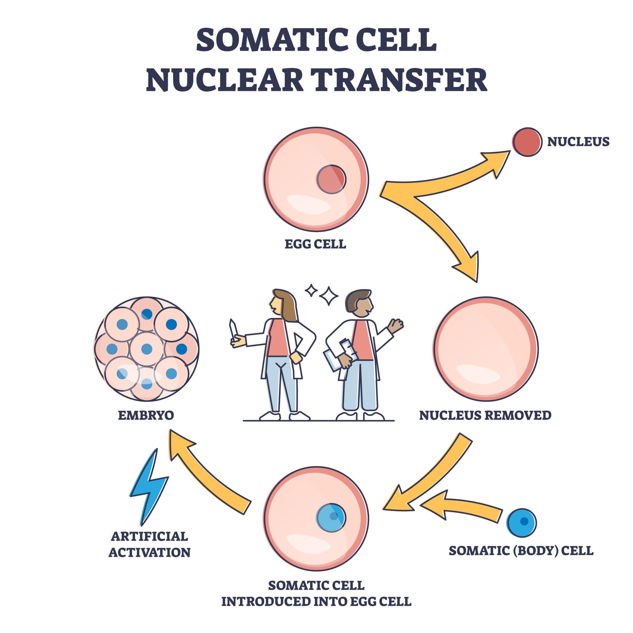Chromosome 24: A Short Primer - by Andrew Hessel
