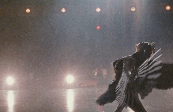 The Ash Files | Substack