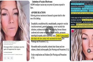 Lt. Col. Karen Kwiatkowski - The Lost Interview: The Whistleblower Who ...