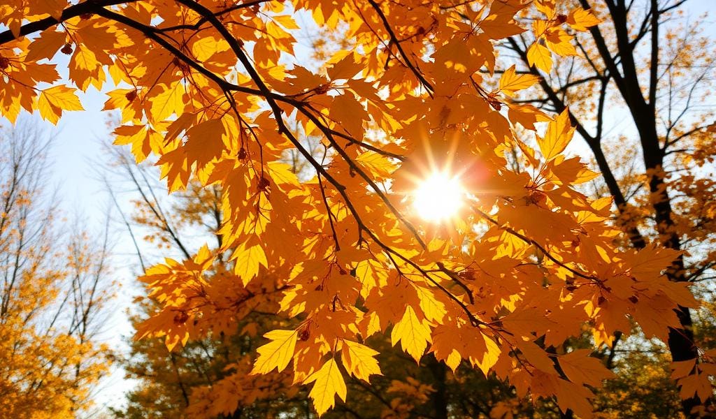 English GCSE: 📚The Five types of imagery - by HNL TUTORS