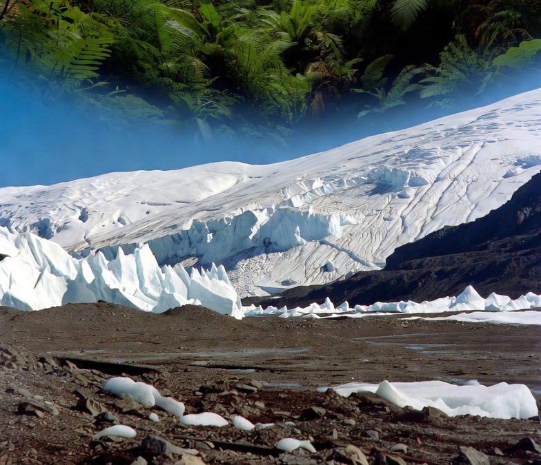 Antarctica had a rainforest 90 million years ago