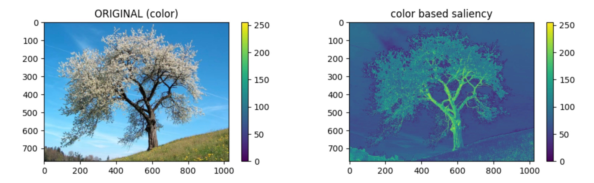 Understanding Saliency Maps - by Kala K - Worlds of Data