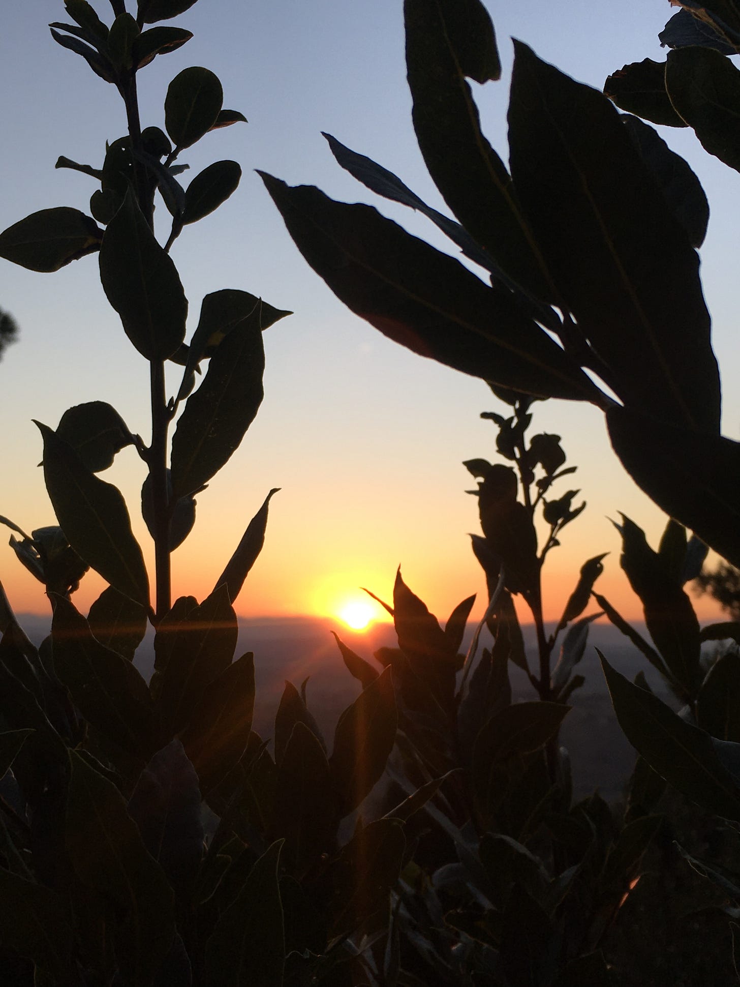 Tra sogno e realtà - by Ordine_sparso - Ordine sparso