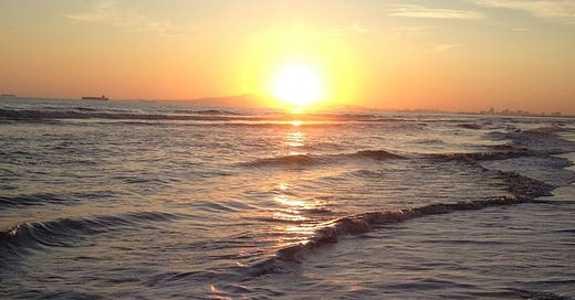 Steve Emig: The White Bear's Substack | Substack