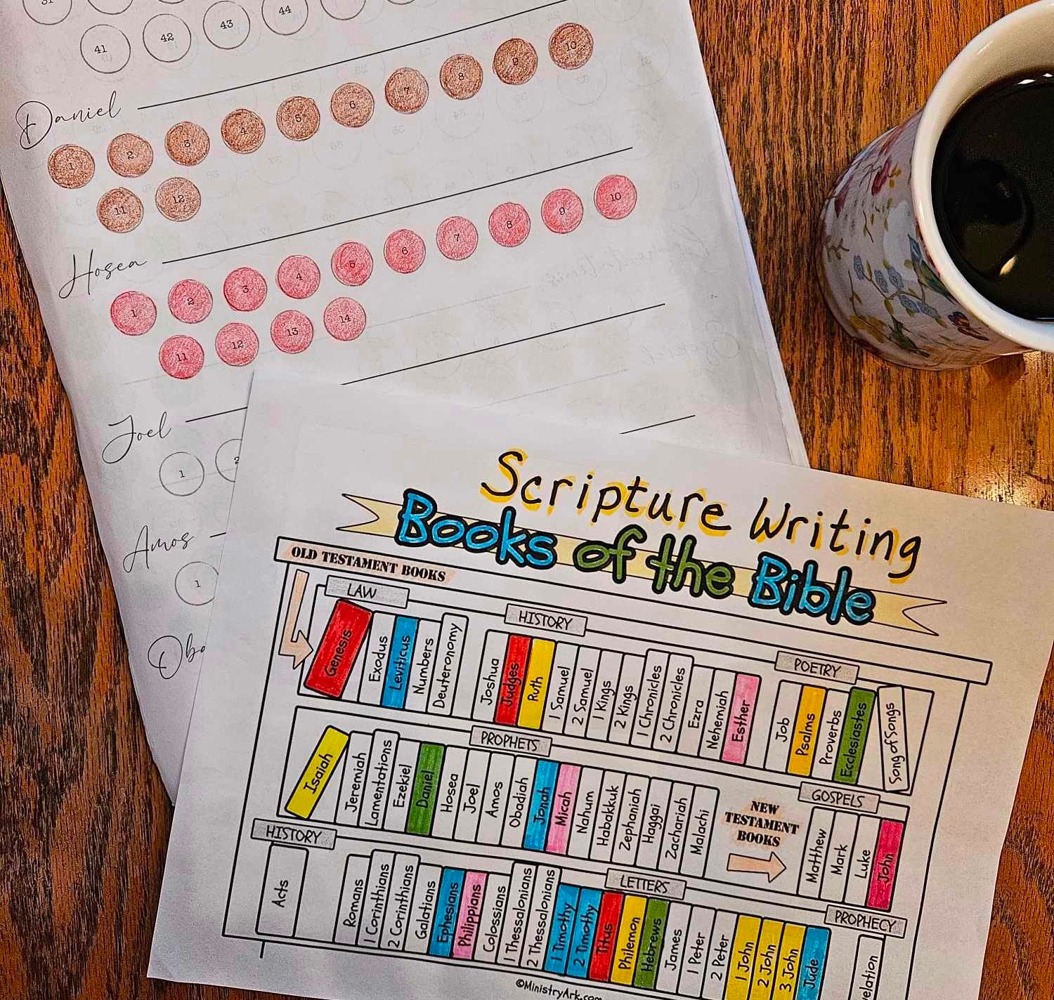 God's word in her hand - by Andrew Heddle - Bible Copy Club