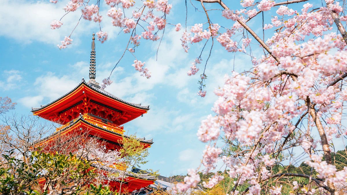 Lesson 18: Building Basic Sentences in Japanese (Part 4)