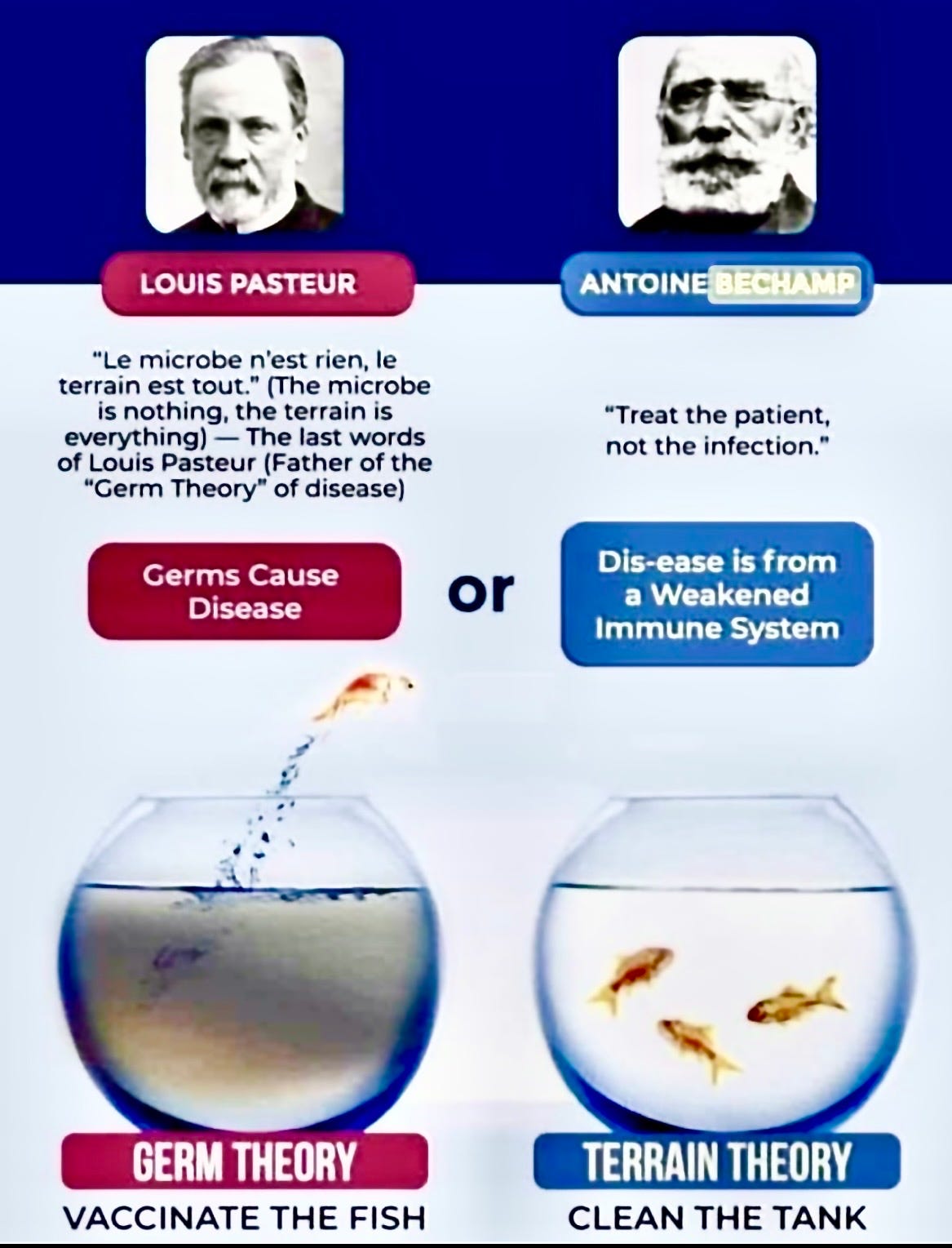 Germ Theory vs. Terrain Theory: Louis Pasteur and Antoine Béchamp’s ...