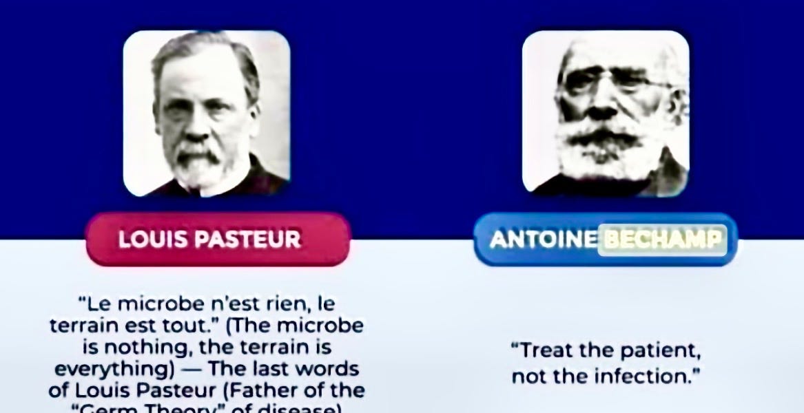 Germ Theory vs. Terrain Theory: Louis Pasteur and Antoine Béchamp’s ...