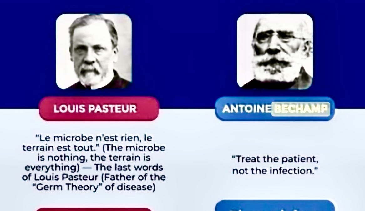 Germ Theory vs. Terrain Theory: Louis Pasteur and Antoine Béchamp’s ...