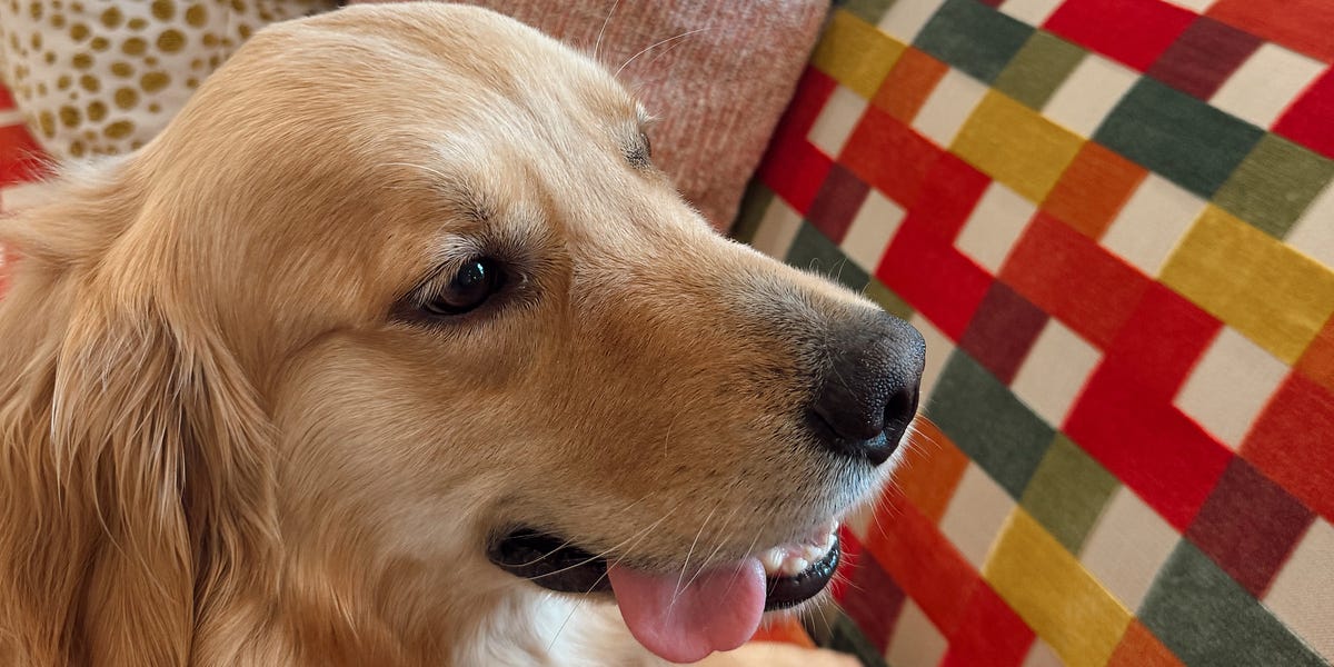 The Download: Vol. 12 - by Sonni Abatta - Sonni’s Substack