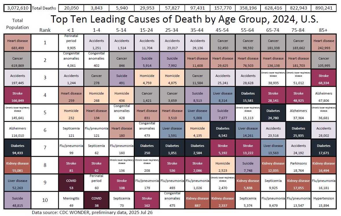 2024 U.S. Top Causes of Death by Age Group, Preliminary