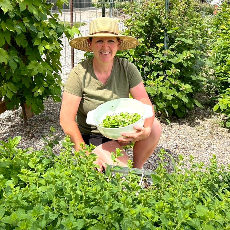 Kendra Meador | Substack