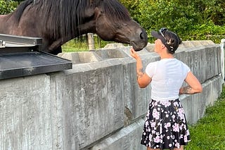 Wild Life with Amy Jay | Substack