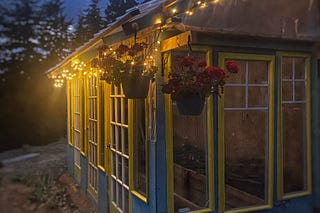 Wild Life with Amy Jay | Substack