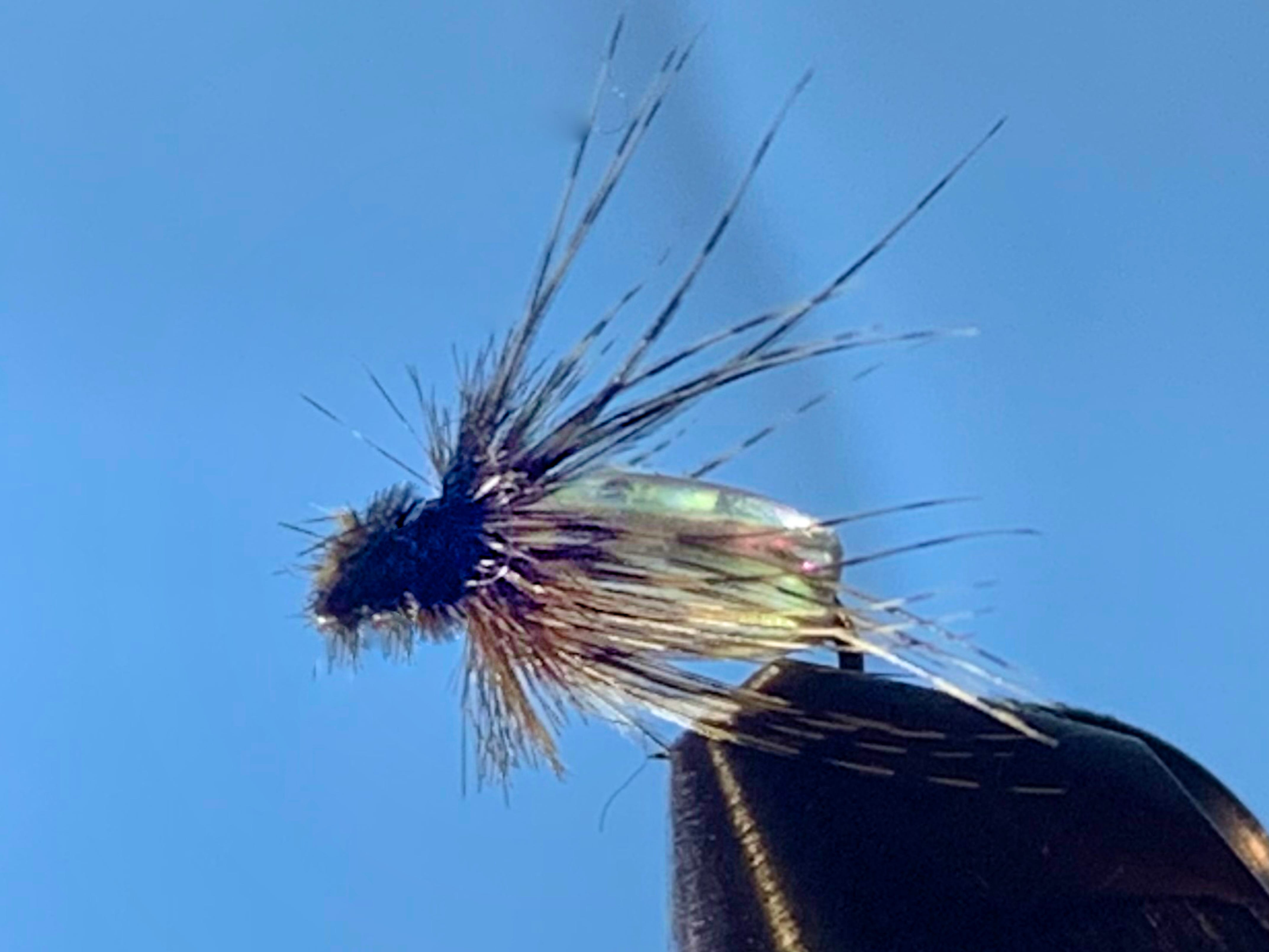 Going up against Goliath without a sling - by Greg Vinci