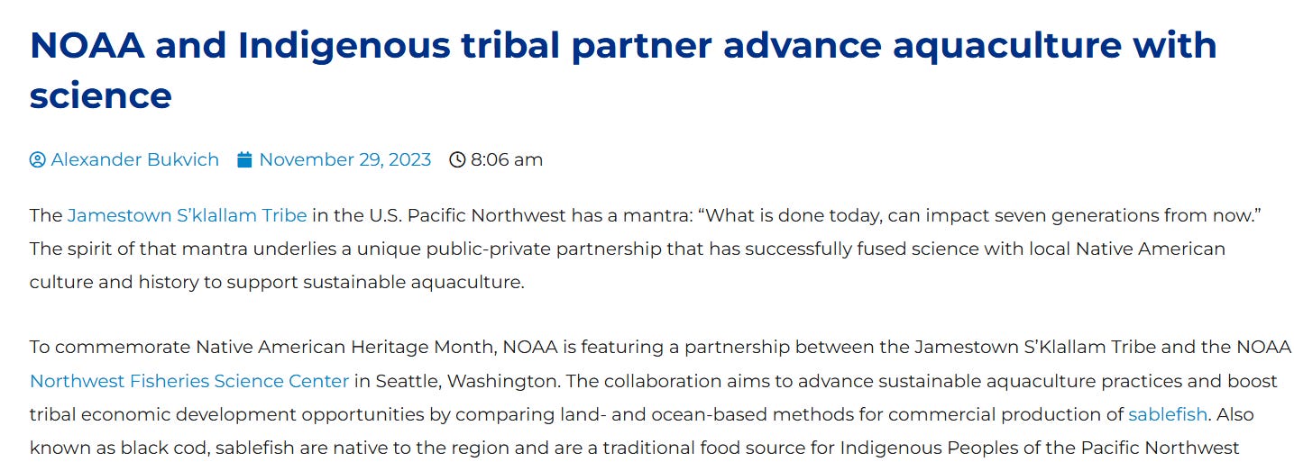 Billion-dollar bridge boondoggle - by Jeff Tozzer